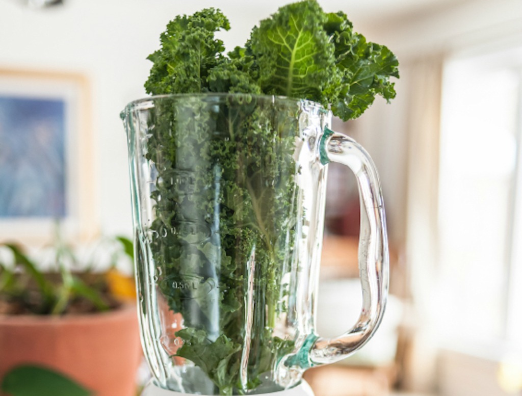 La col rizada: conoce el origen y las contraindicaciones del kale